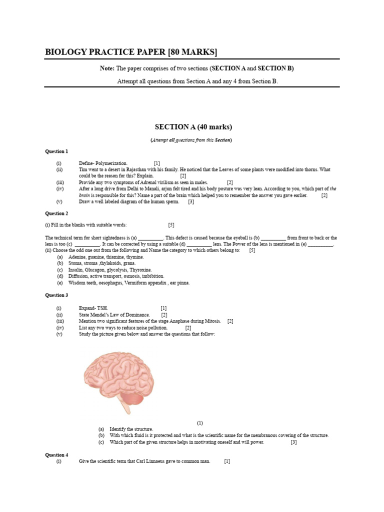 Biology Practice Paper for Students | PDF | Hormone | Biology