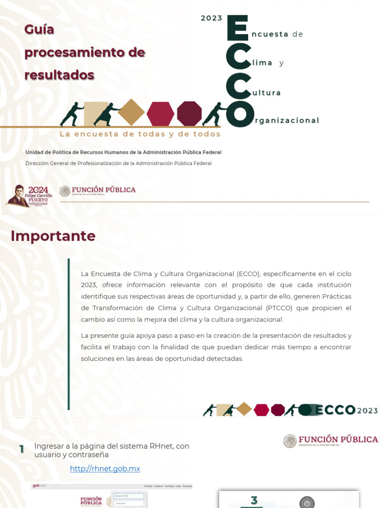 Guia_para_procesar_resultados_ECCO_2023 | PDF | Informática