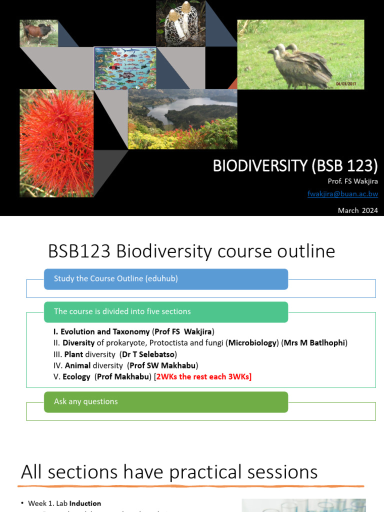 Introduction To Biodiversity | PDF | Biodiversity | Conservation Biology
