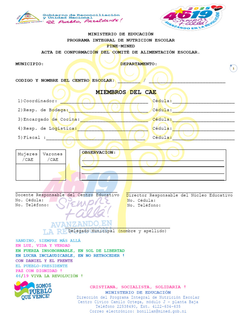 Formato de Caracterizacion Cae-2025 | PDF