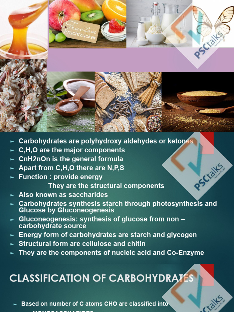 Carbohydrate Notes - FSO | PDF | Carbohydrates | Polysaccharide