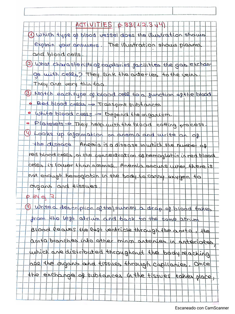 CamScanner05 02 202418.51 | PDF