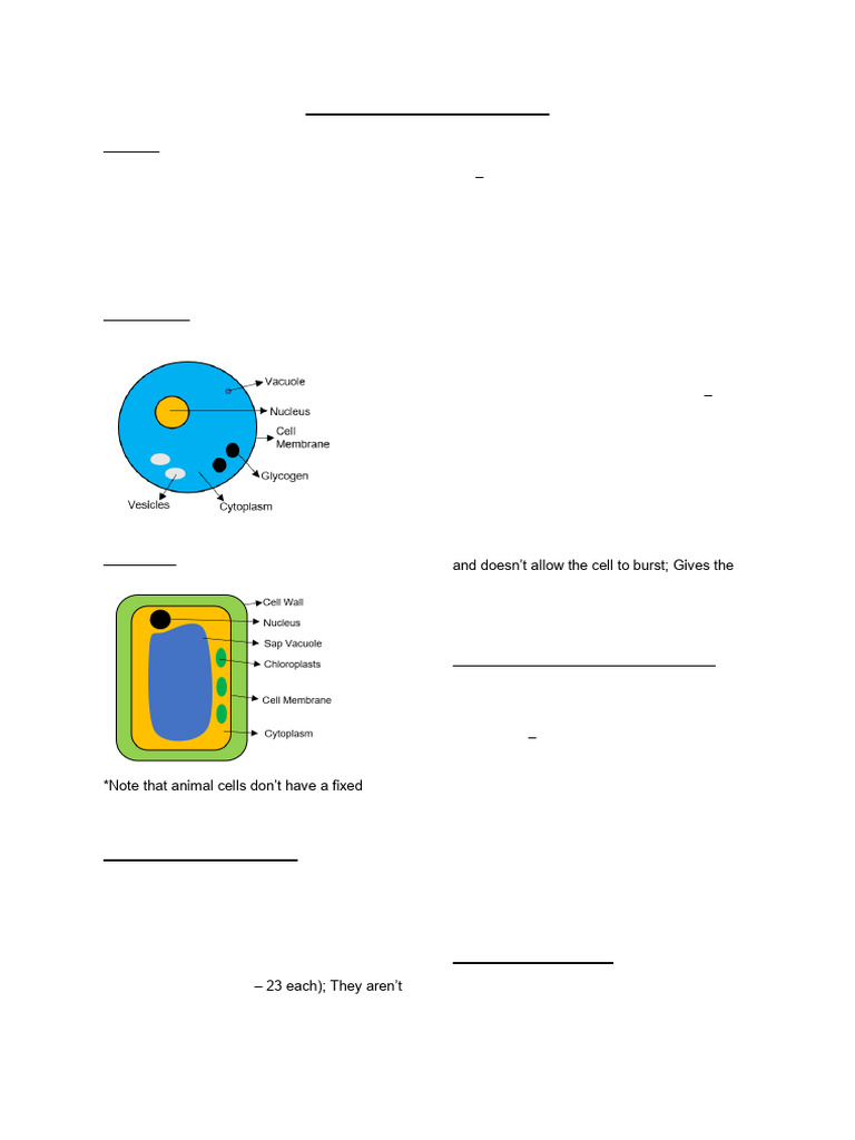 2 - Organisation of the Organism (2) | PDF | Cell (Biology) | Tissue (Biology)