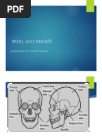 PA Axial Caldwell Method Overview | PDF | Skull | Radiography