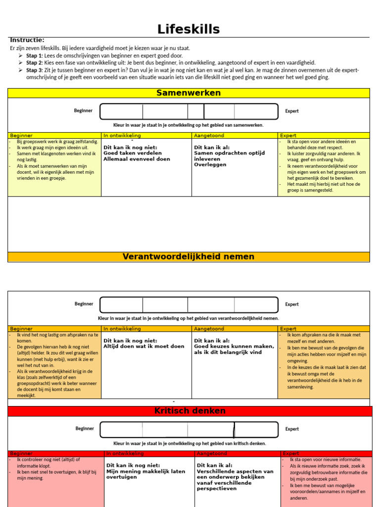 Rubrics Met Schaal en Web | PDF