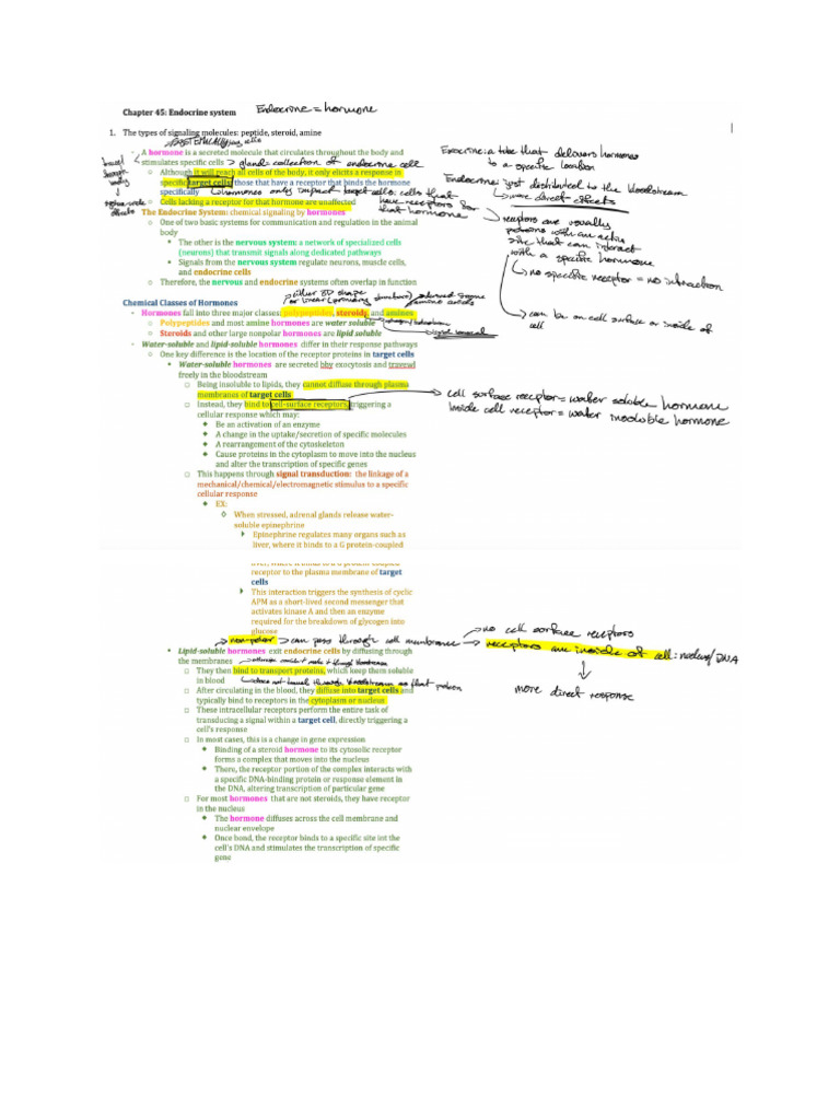Chapter 45 Outline | PDF