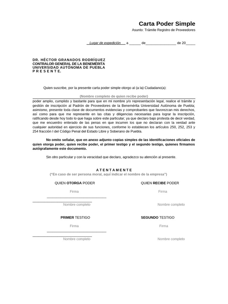 18 Carta Poder Simple Ins | PDF | Gobierno | Justicia