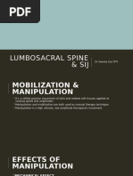 Understanding SIJ: Form and Force Closure | PDF | Pelvis | Vertebral Column