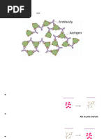 Nagler's Reaction for C. perfringens Detection | PDF | Immune System ...