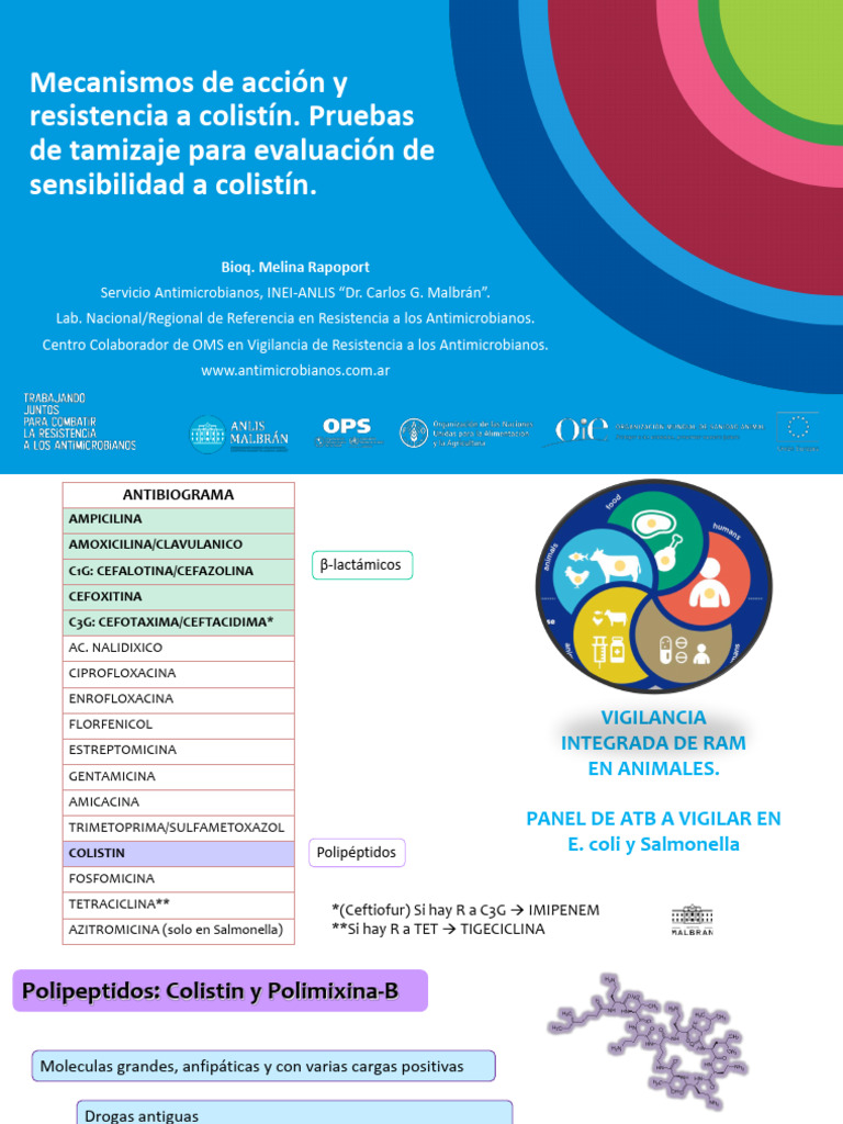 sp-mecanismos-de-accion-y-resistencia-a-colistin | PDF | Escherichia ...
