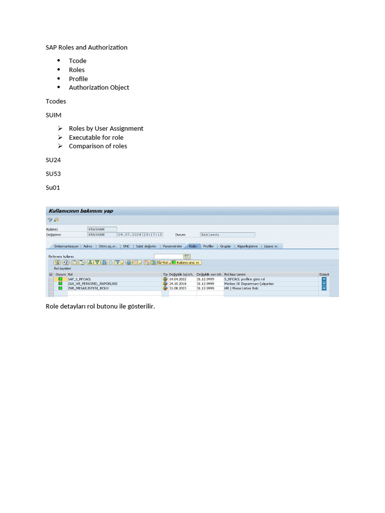 SAP Roles and Authorization | PDF