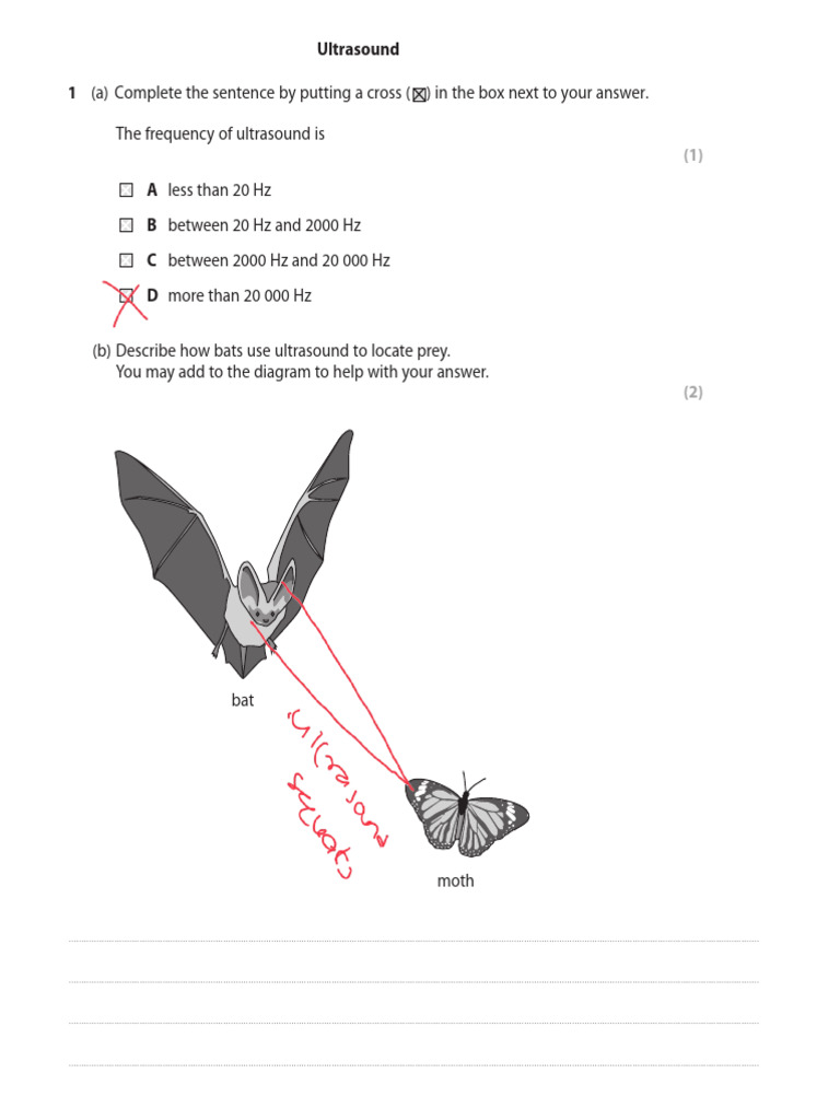 Properties of Waves 3 QP | PDF | Seismology | Plate Tectonics