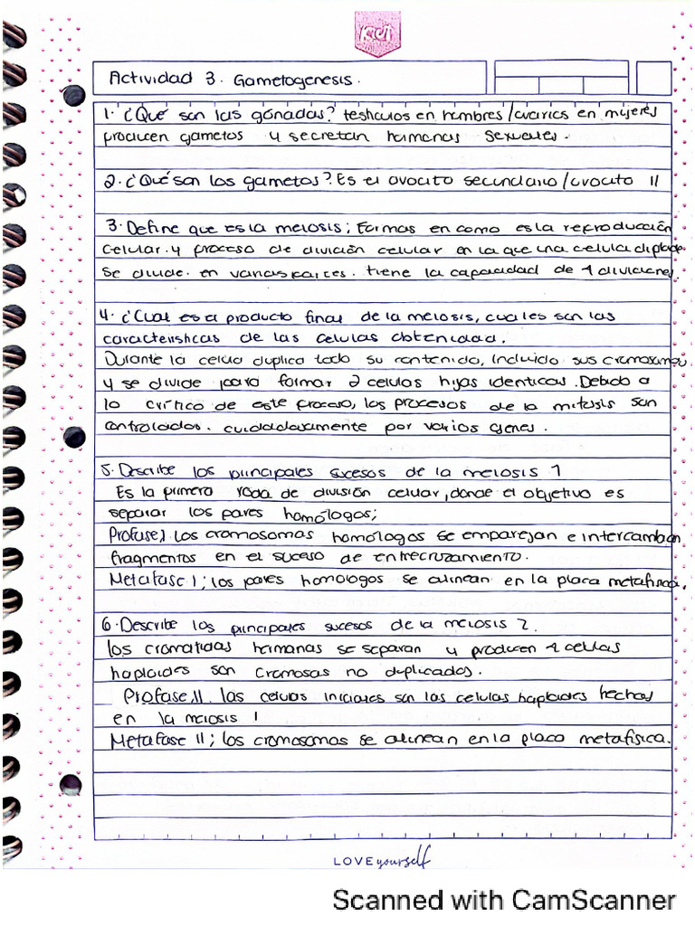 ACT3 Gametogenesis | PDF