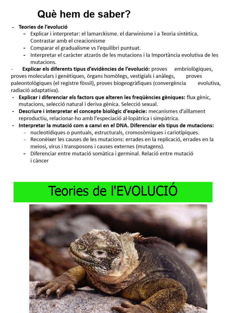 1. Continguts. Teories Evolució | PDF