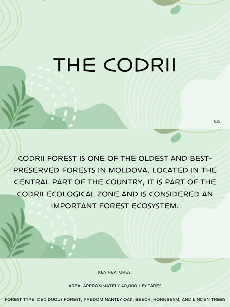 Orzul 20250205 232512 0000 | PDF