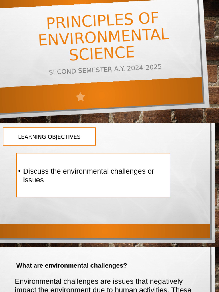Environmental Science Challenges & Activities | PDF