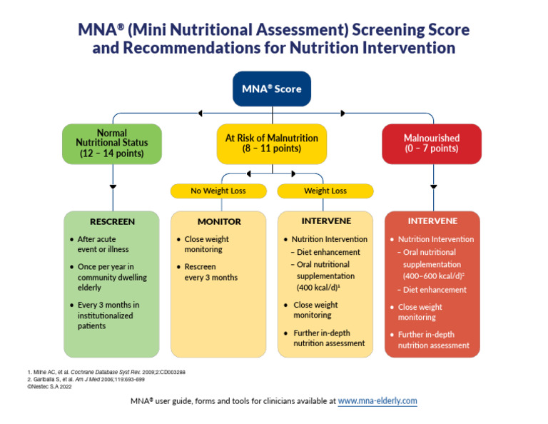 MNA Nutrition Screening Score and Recommendations for Nutrition ...
