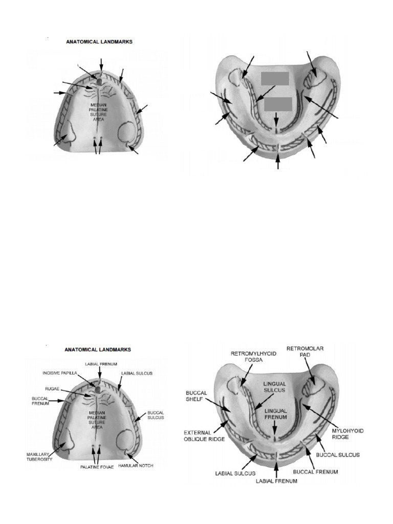 anatomical features pros | PDF