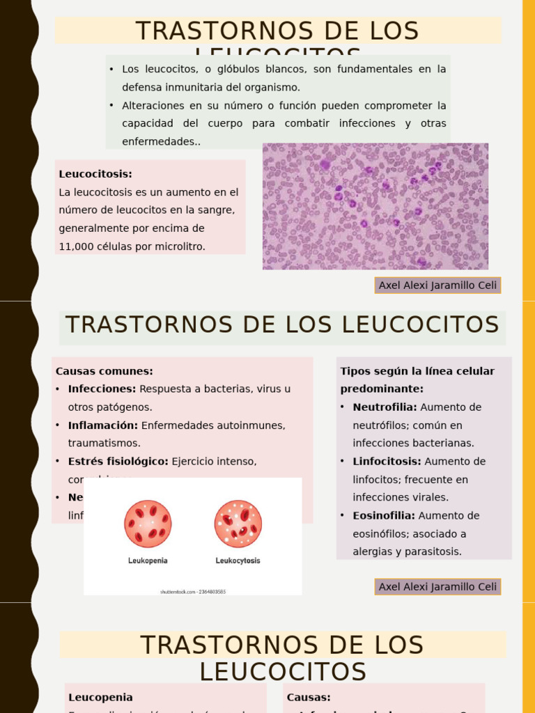 Fisiopatología Renal-Tema #4 - Segundo Parcial-Axel Jaramillo Celi ...