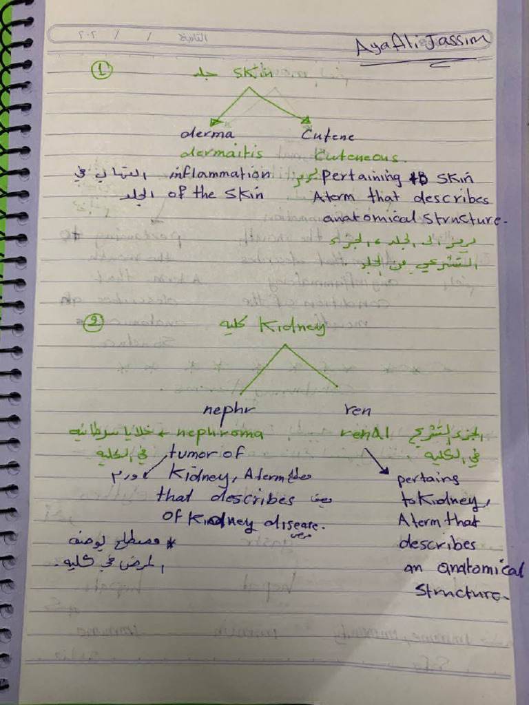 Midical Word by Aya Ali | PDF