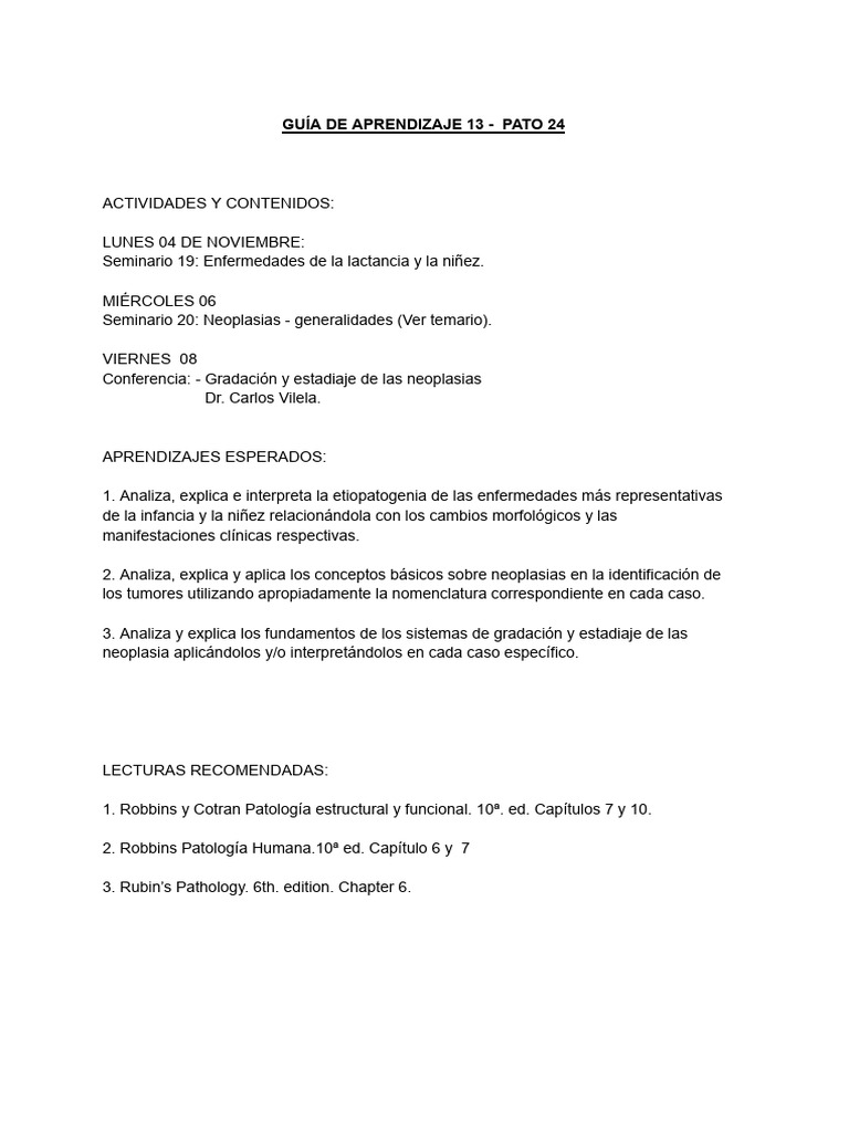 Guía 13 - Pato 24 | PDF