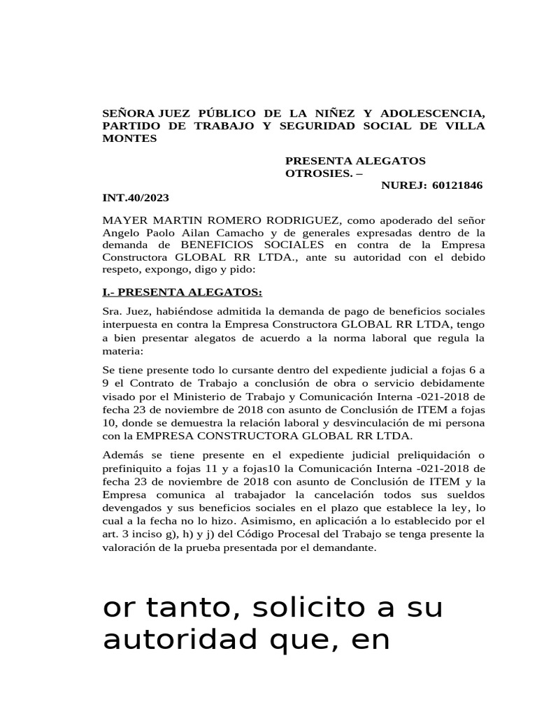 PRESENTA ALEGATOS | PDF | Demanda judicial | Justicia