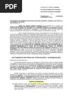 1.0 Dictamen Pericial en Agrimensura | PDF | Topografía | Derecho Civil (Common Law)
