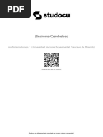 Síndromes Cerebelosos: Vermiano y Hemisferios | PDF | Cerebelo ...