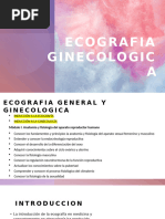 Medidas y Posiciones del Útero en Ecografía | PDF | Ultrasonido médico ...