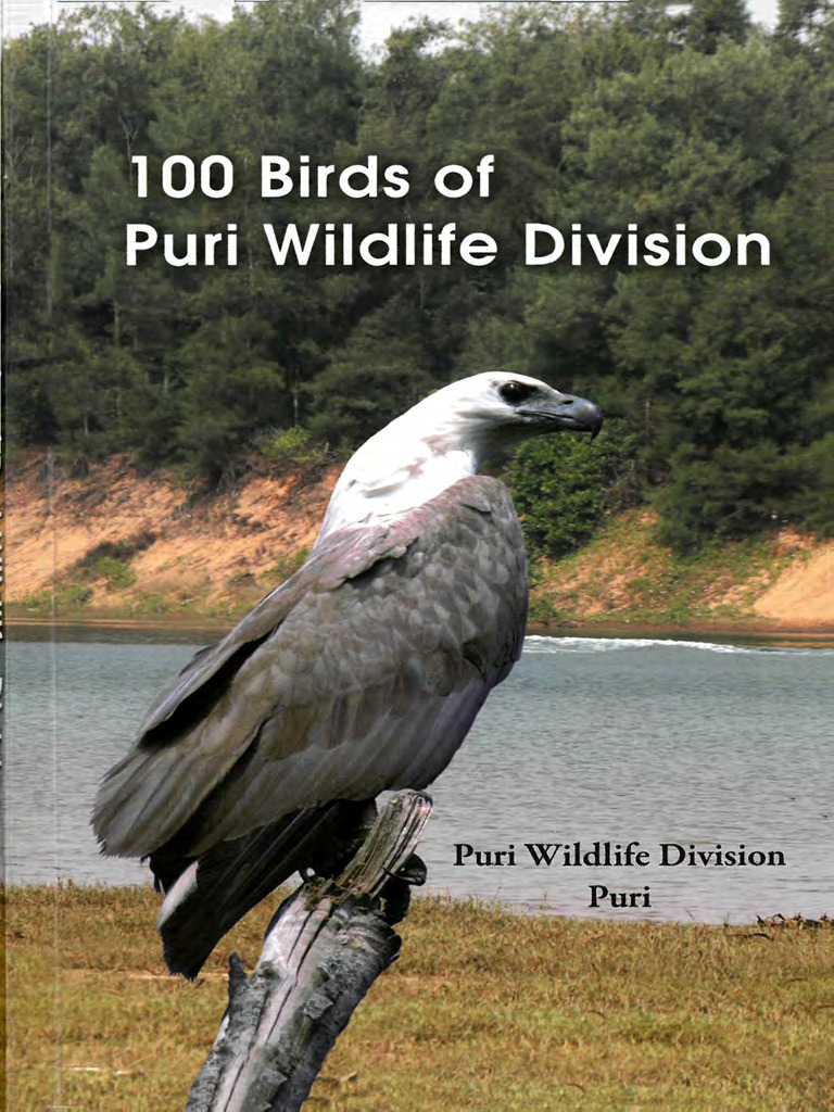 Document Digitization Overview | PDF