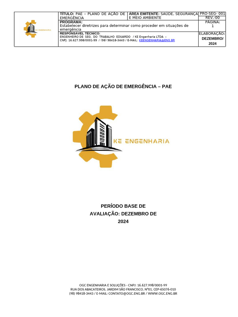 MODELO-PAE-SEGURANCA-DO-TRABALHO (Eduardo e Karine) | PDF | Engenheiro ...