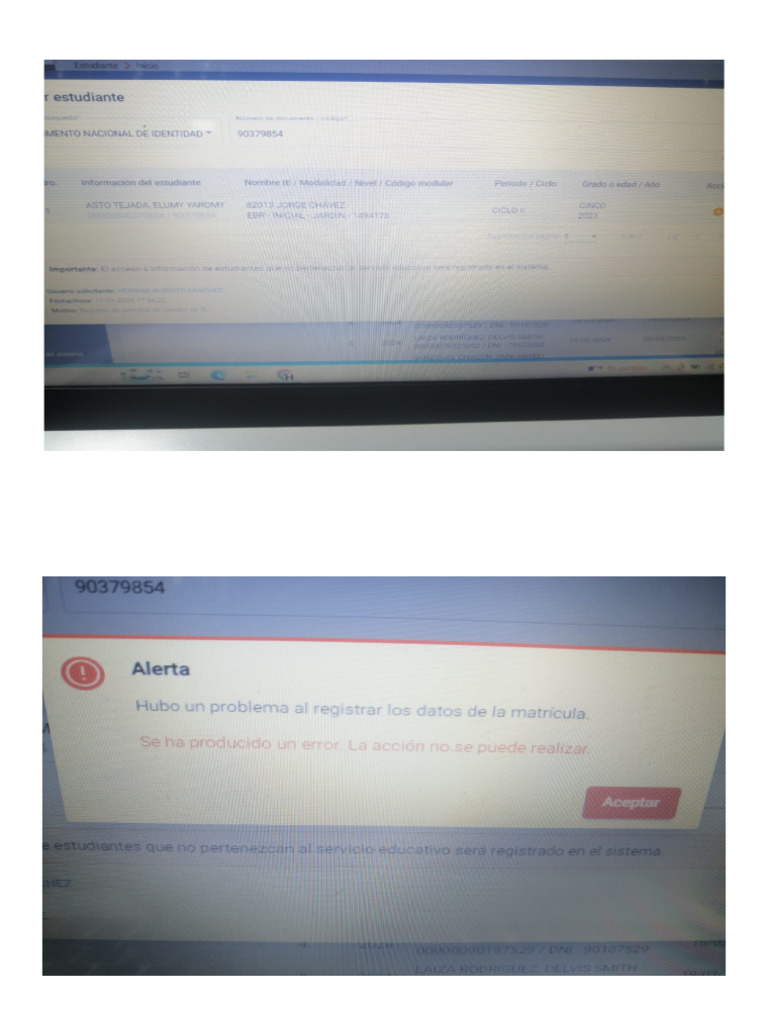 Registro Del Siagi | PDF