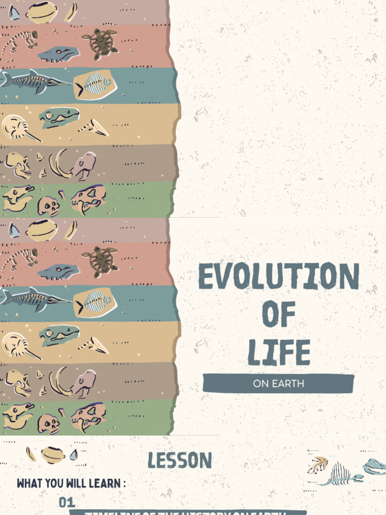 5 Evolution of Life | PDF | Evolution | Homo