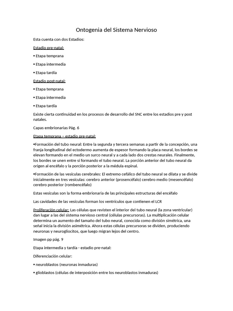 Ontogenia | PDF | Sistema nervioso | Neurona