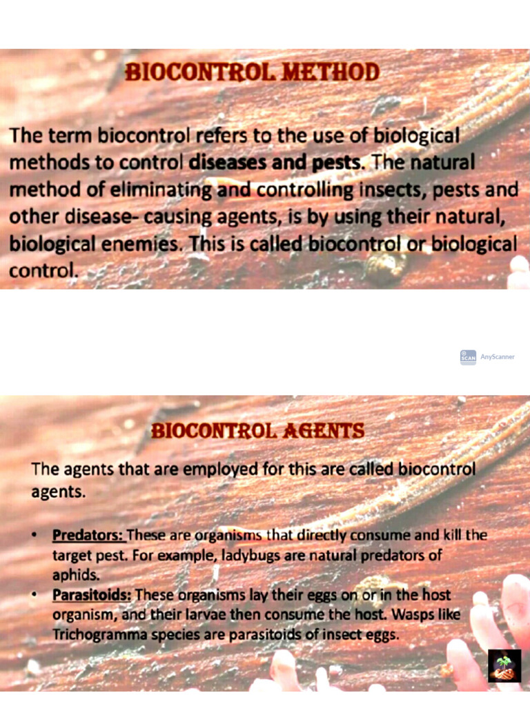 Biocontrol of Pathogens Growth Promotion by Free Living Bacteria | PDF