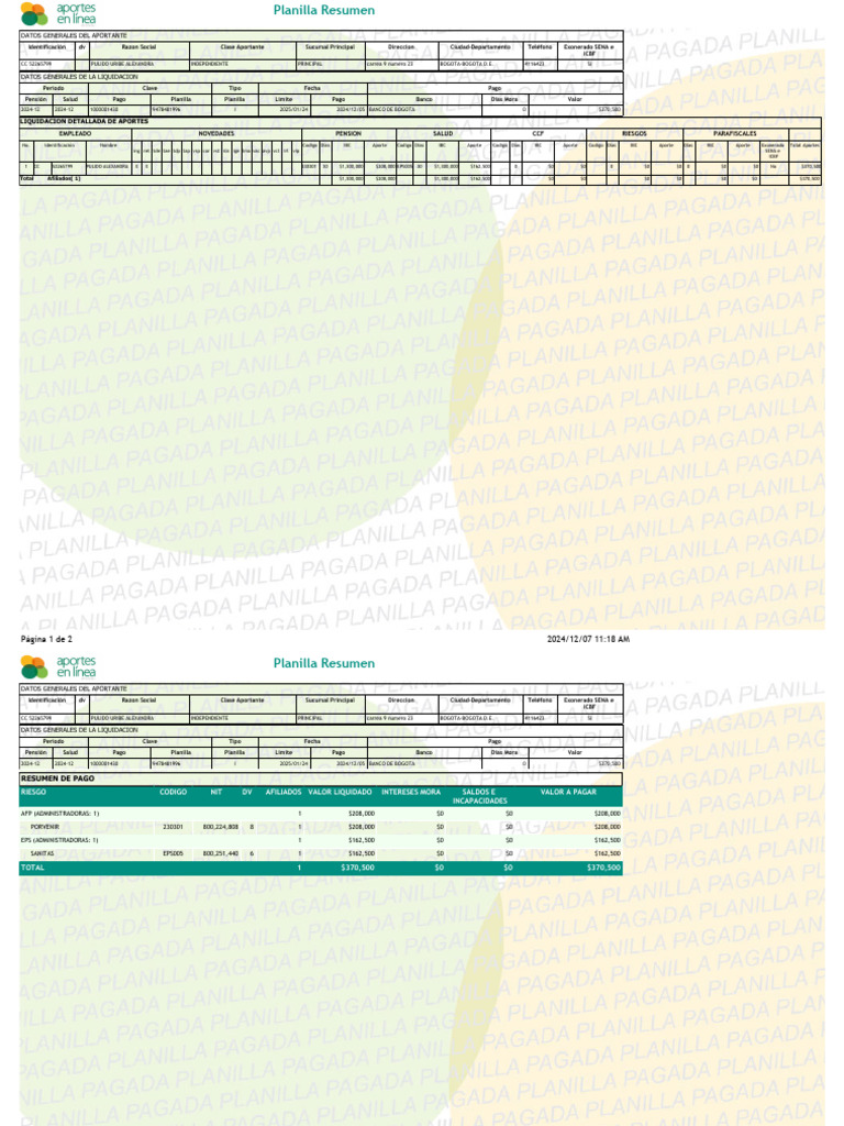 Planilla Diciembre Alexa Pulido 2024 | PDF | Servicios financieros ...