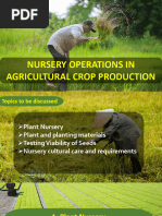 Talong and Sili Cultivation Guide | PDF | Agriculture | Soil