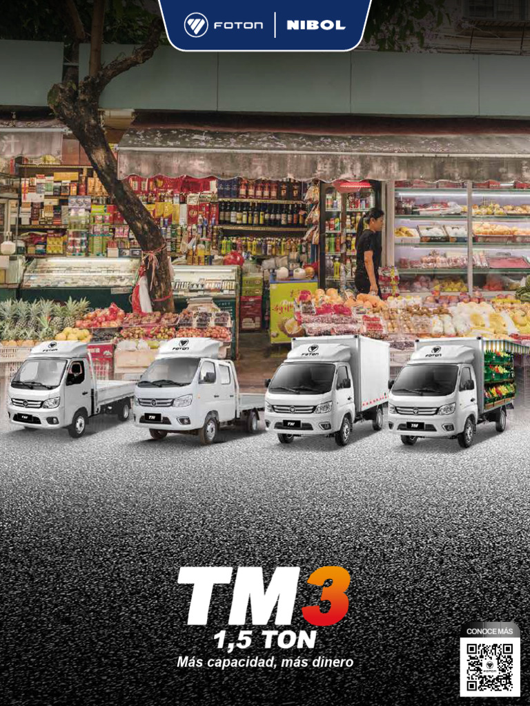 Foton TM3 15 Ton | PDF | Eje | camioneta