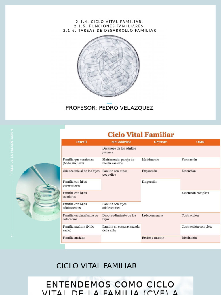 Ciclo Vital Familiar y Funciones | PDF