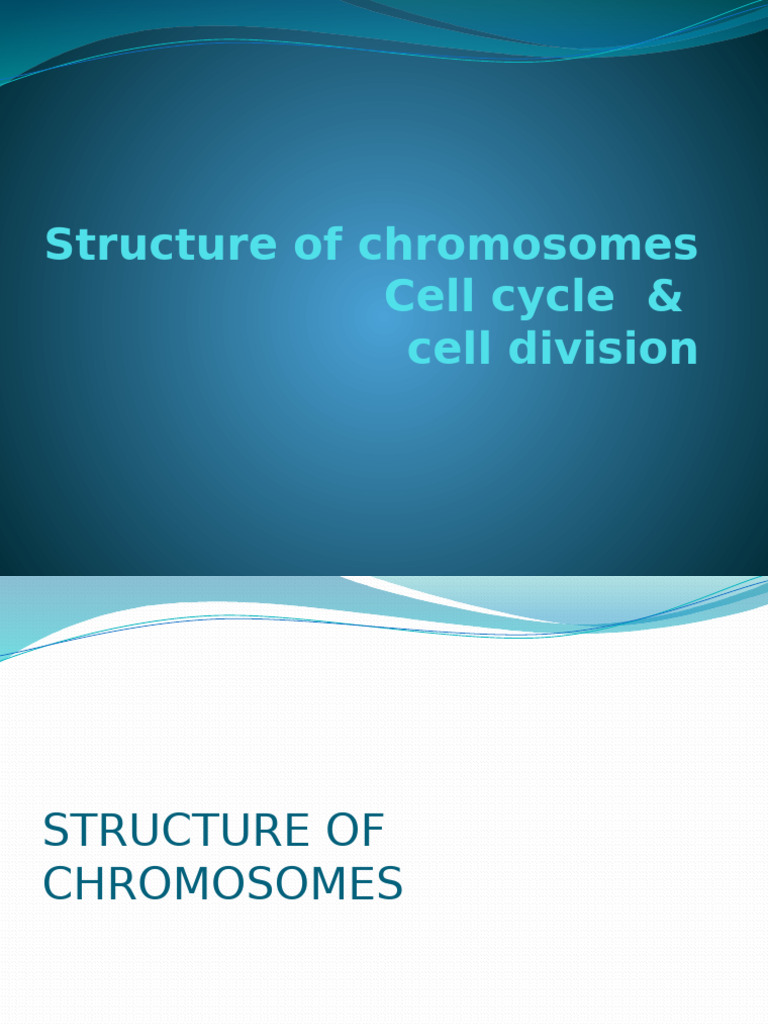 Structure of Chromosomes, Cell Division & Cell Cycle | PDF | Mitosis ...