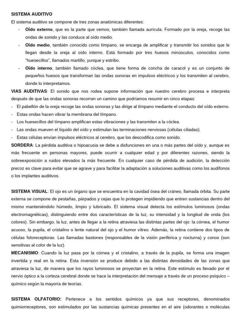 Sistema de Los 5 Sentidos | PDF | Escuchando | Oído
