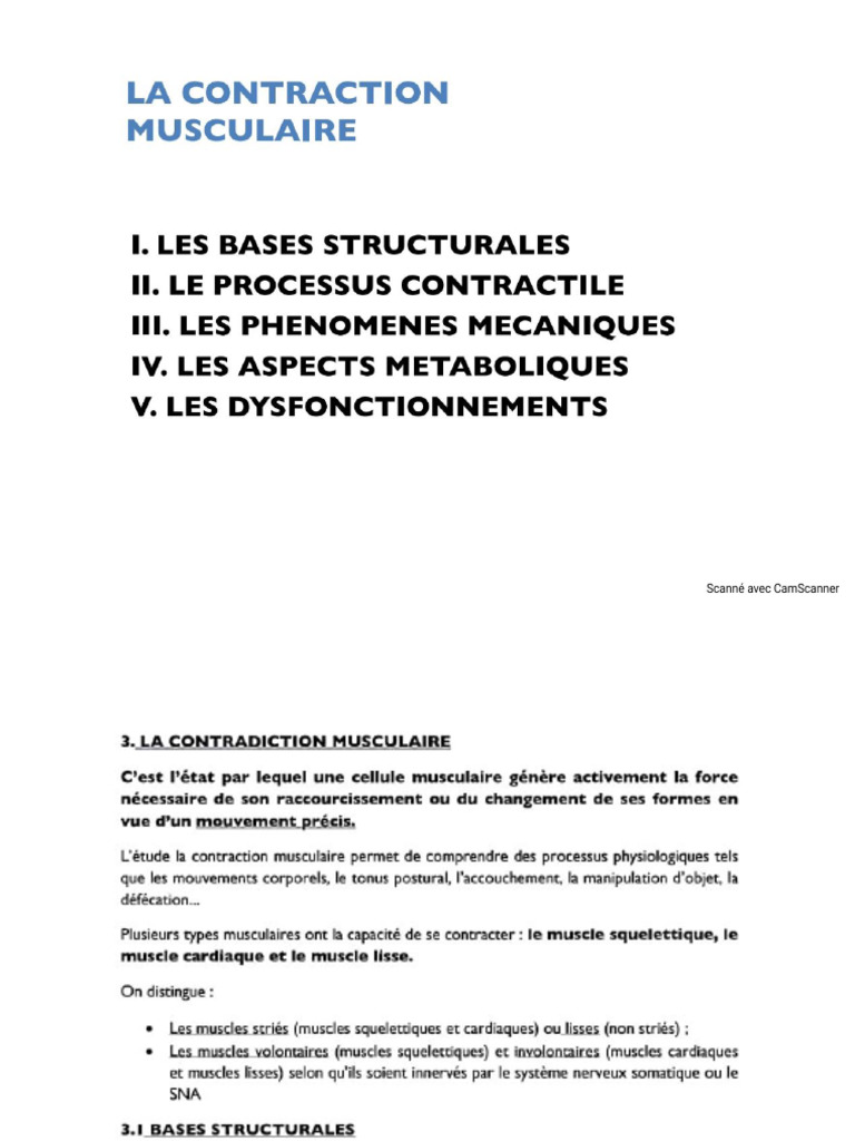 6-La Contraction Musculaire | PDF