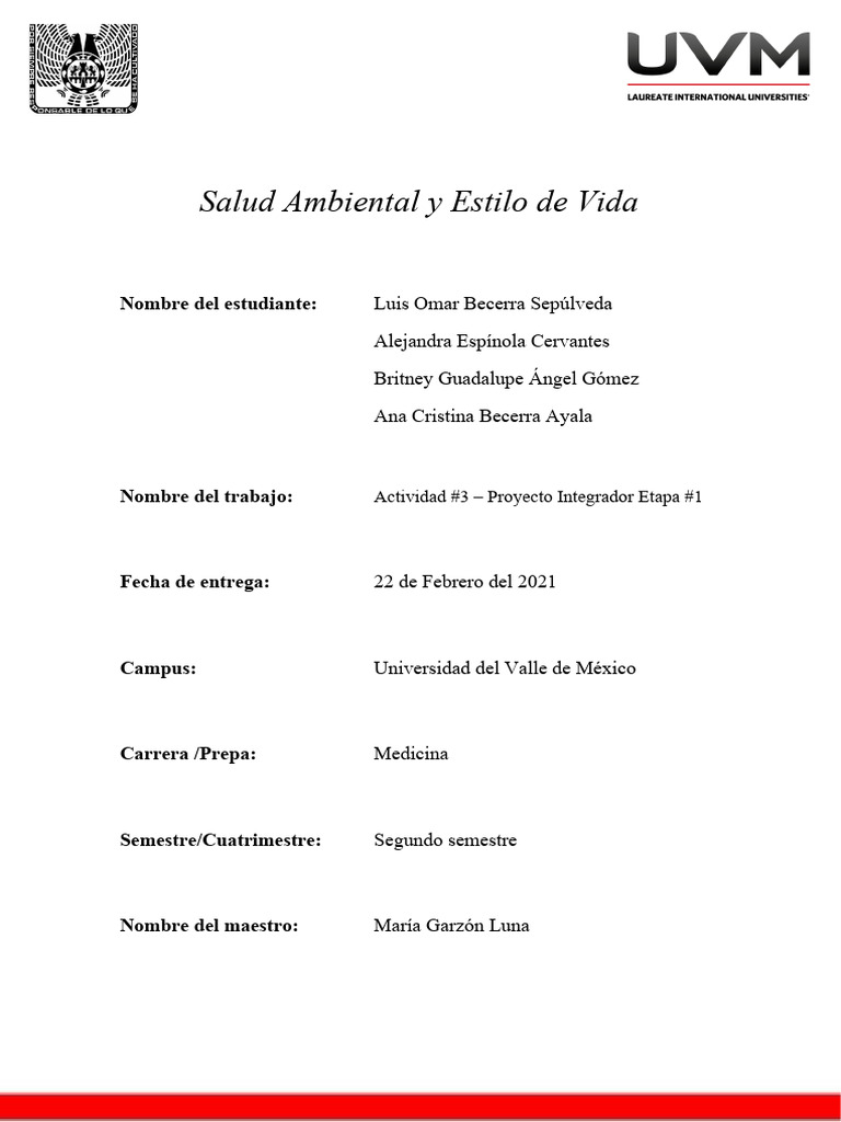 A#3-Proyecto Integrador Etapa 1 - LOBS | PDF | La contaminación del aire | Contaminación