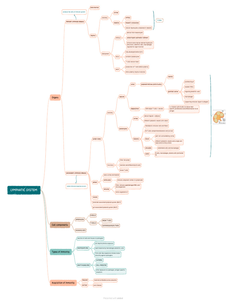LYMPHATIC SYSTEM Map | PDF | Lymphatic System | Lymph Node