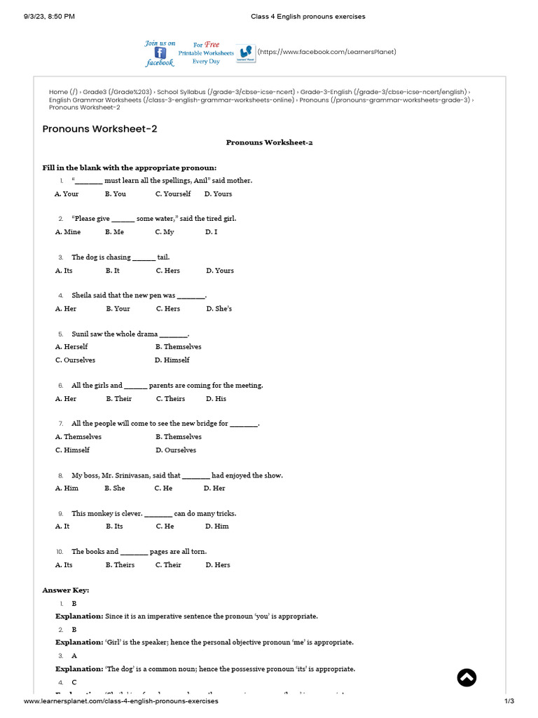 Class 4 Pronouns Exercises Worksheet | PDF | Pronoun | Plural