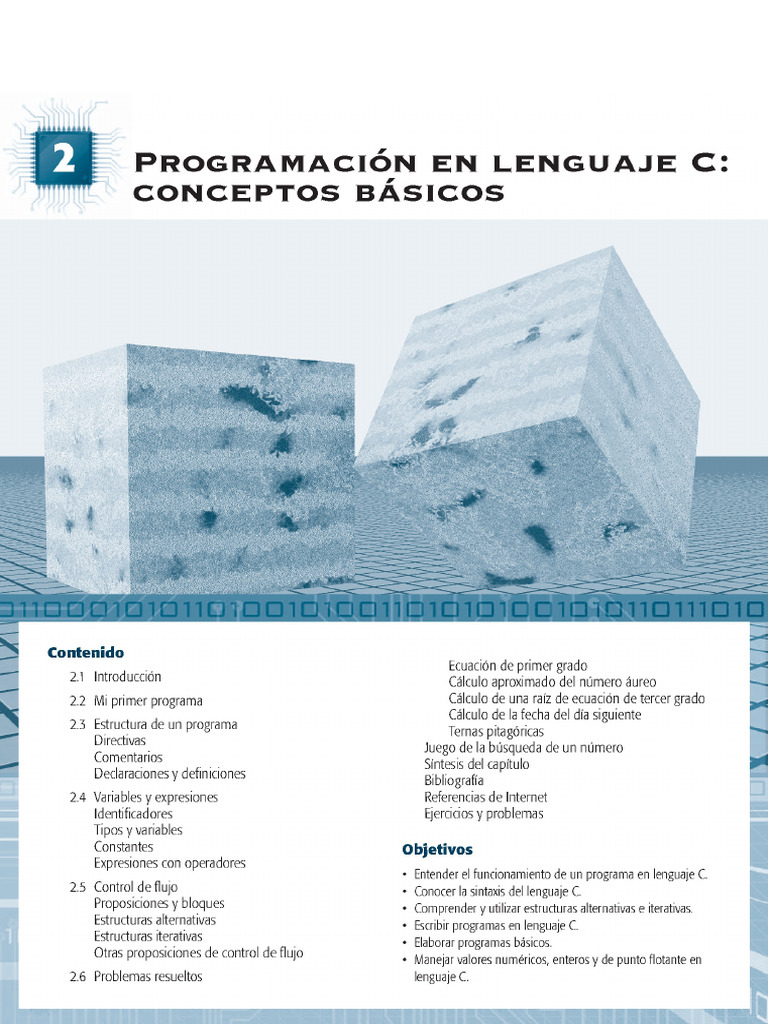 Introducción A La Pogramación Cap 2 | PDF