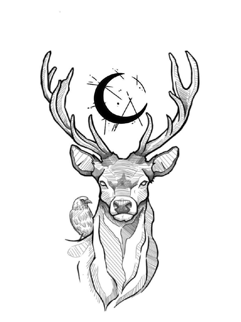 Deer | PDF