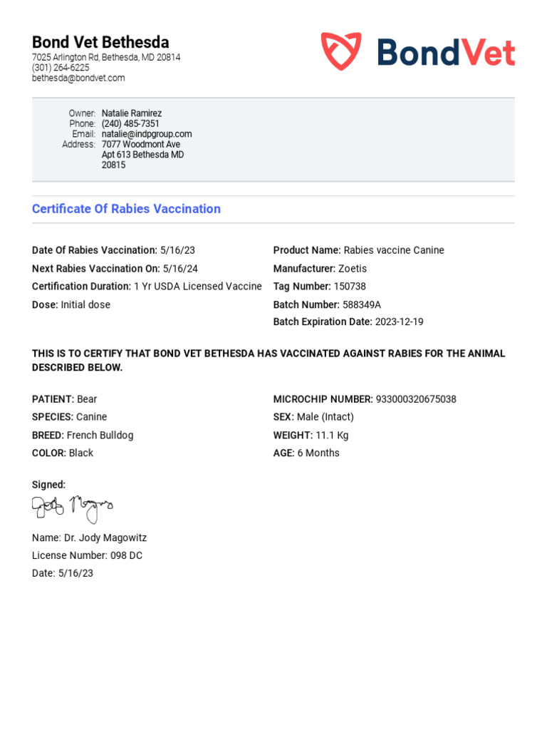 Bear Rabies Certificate | PDF