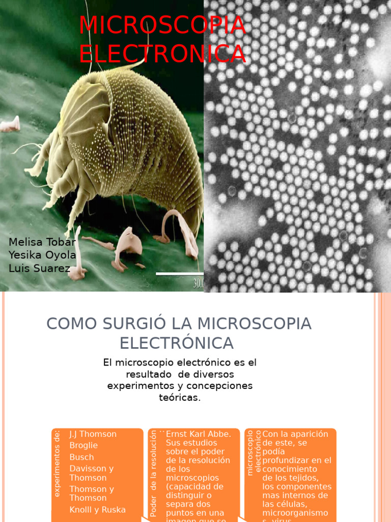 Microscopia-Electrónica Final | PDF | Microscopio electrónico | Microscopio