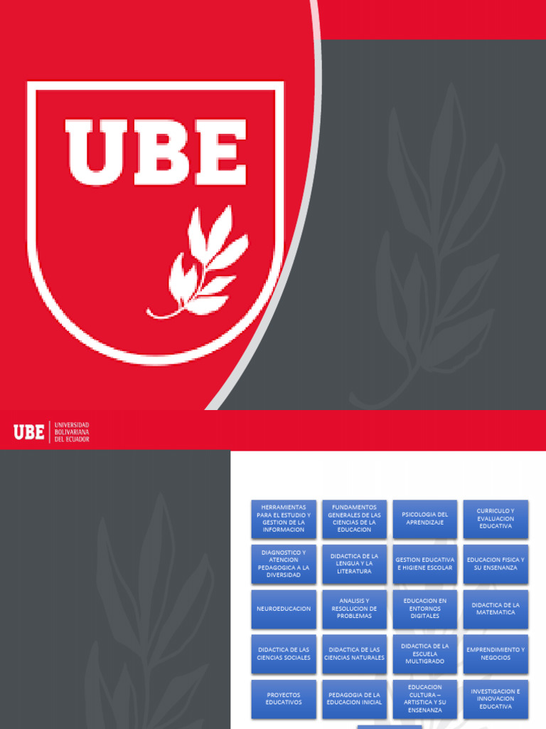 Guía Completa del Programa Educativo UBE | PDF | Aprendizaje